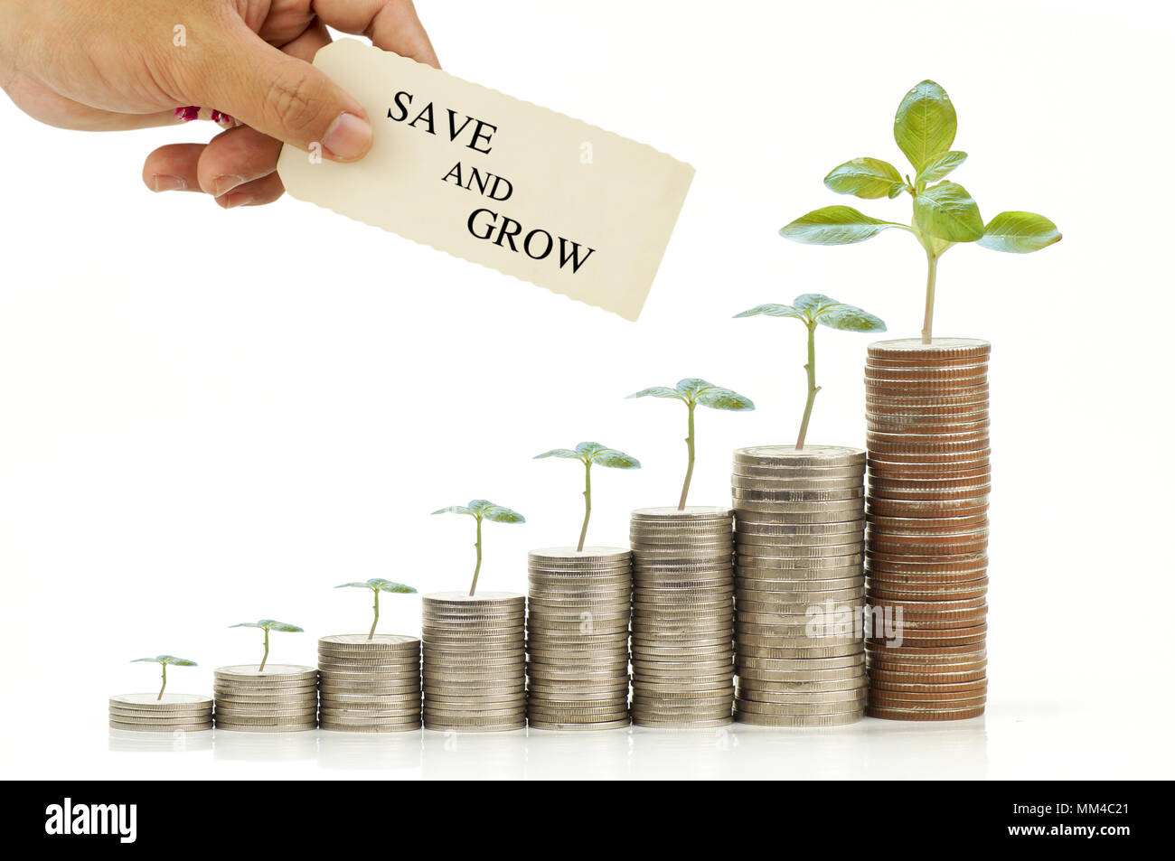 hand holding sign with pile of money coins and tree, concept in save ...