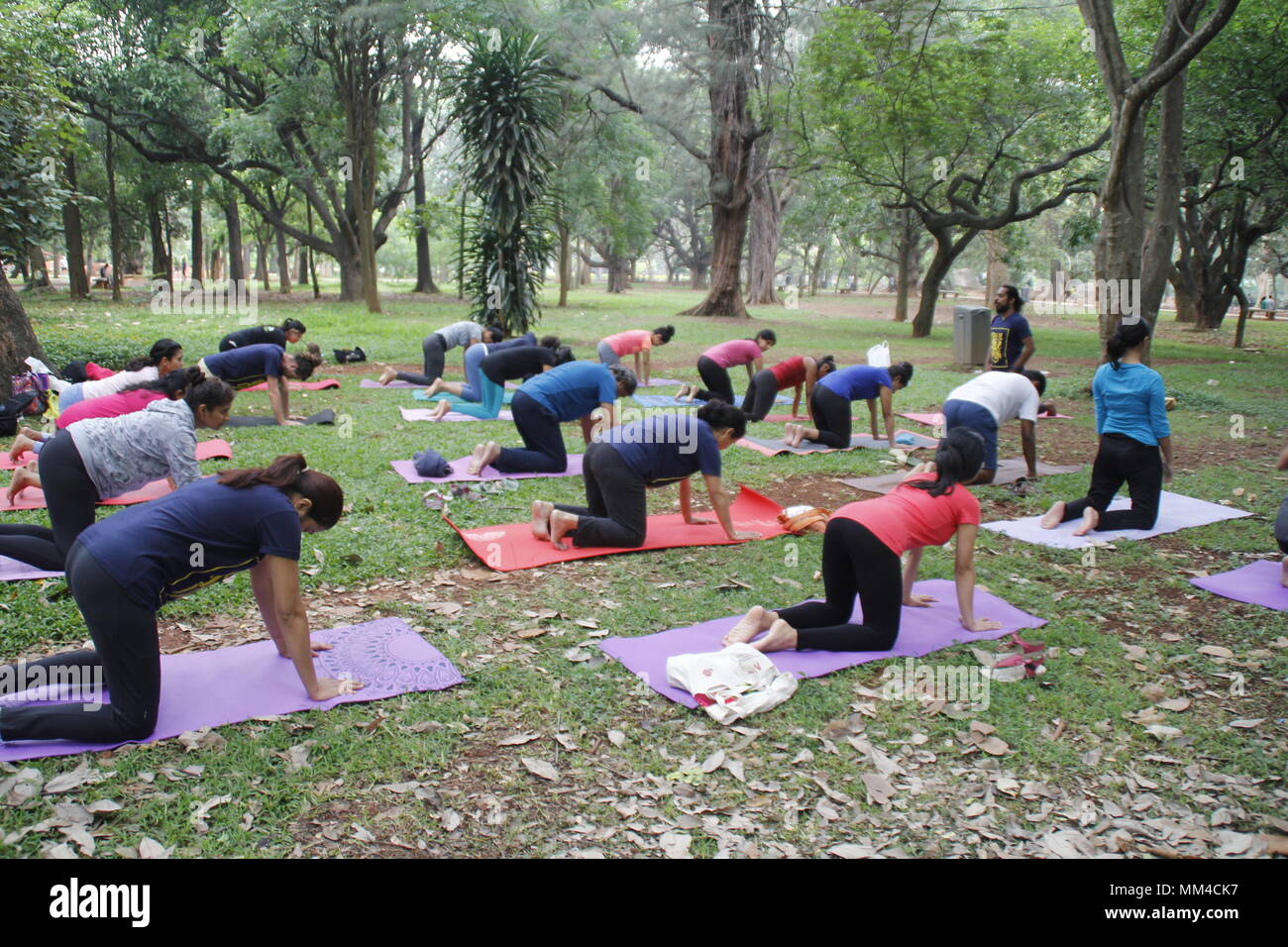 Yoga community group hi-res stock photography and images - Alamy