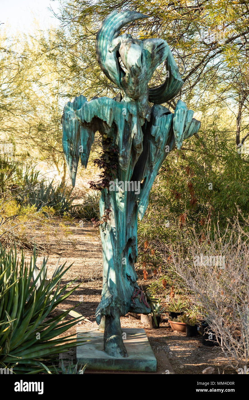 Arizona desert botanical garden hi-res stock photography and images - Alamy