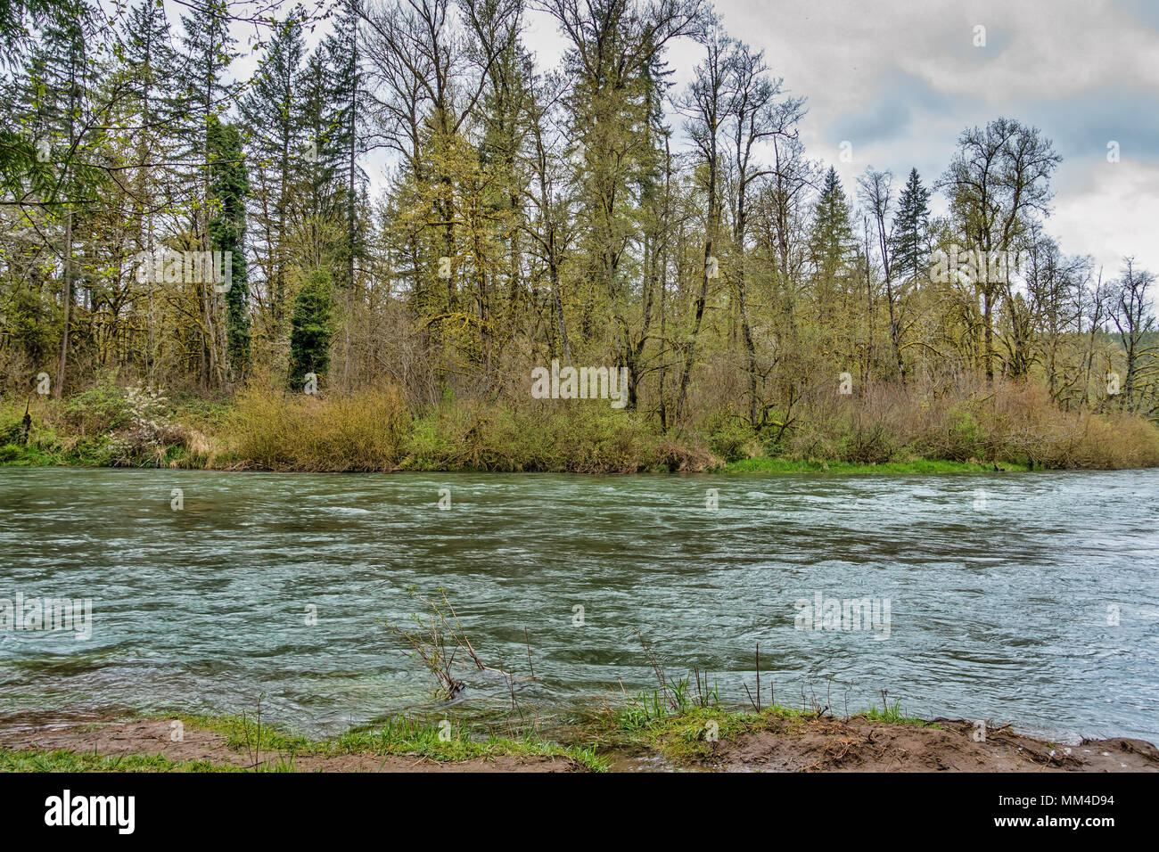 A view of the Green River at Flaming Geyser State Park in Washington ...