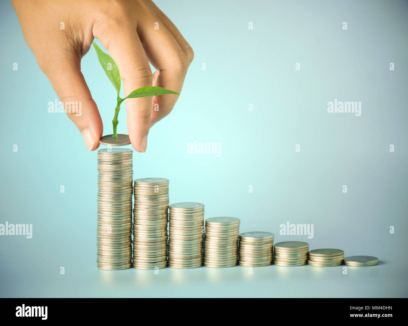 hand put money on pile of coin with small tree, concept in save and ...