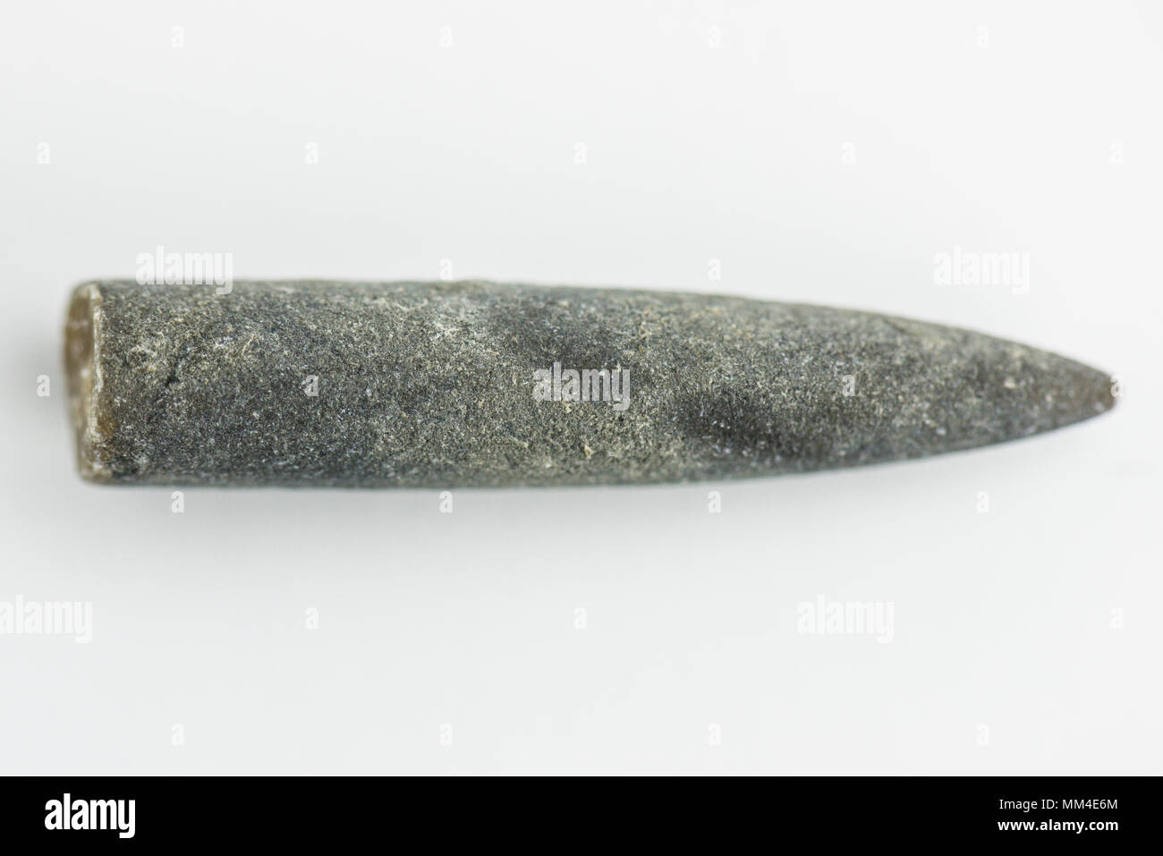 Belemnite hi-res stock photography and images - Alamy