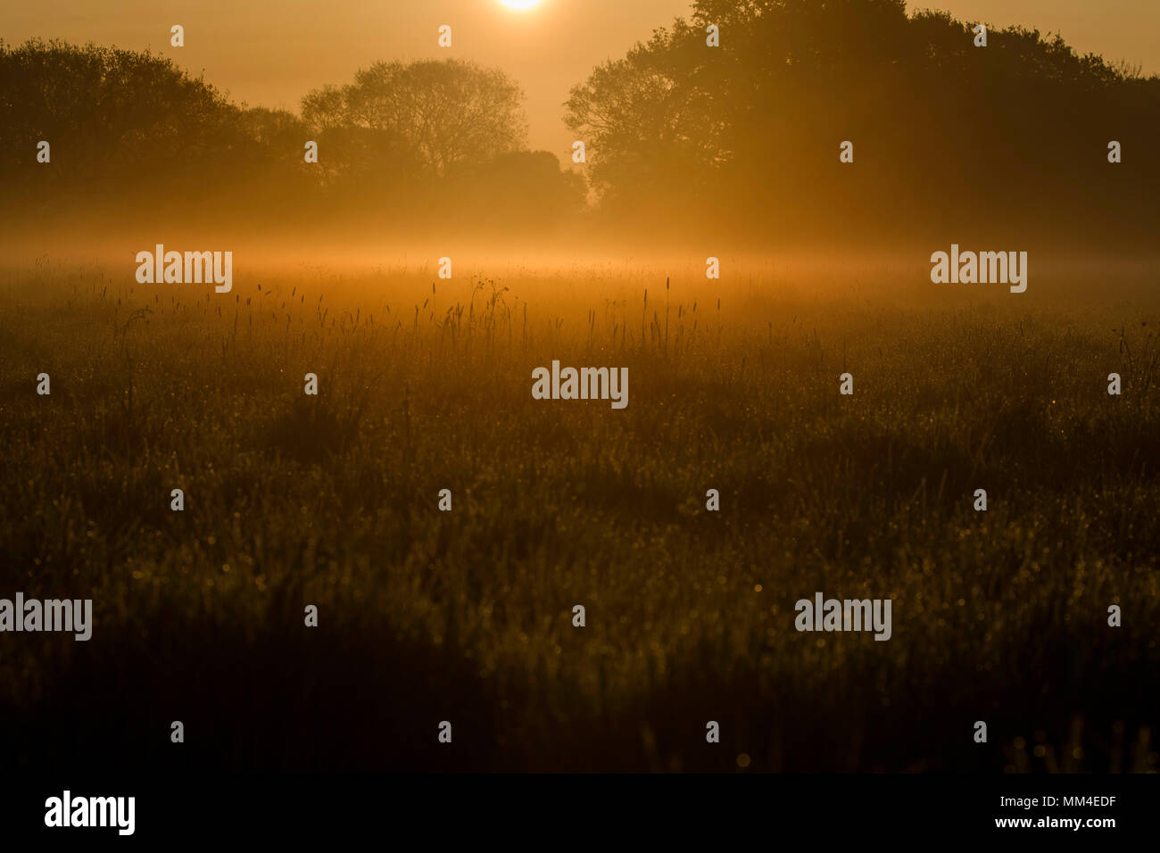 Uk farm sun rise hi-res stock photography and images - Alamy