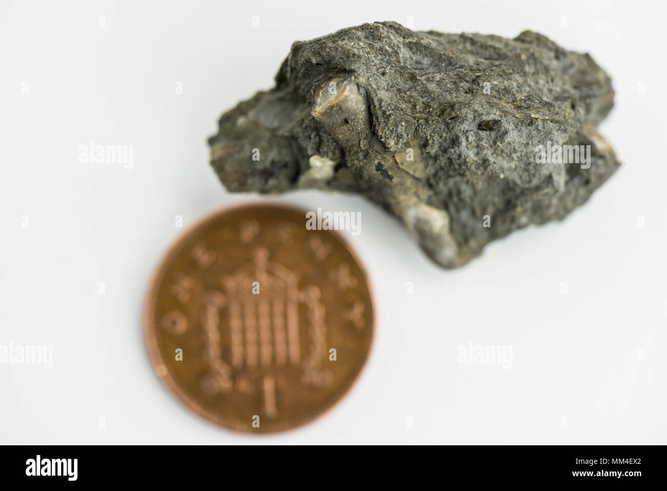 Belemnite fossil hi-res stock photography and images - Alamy