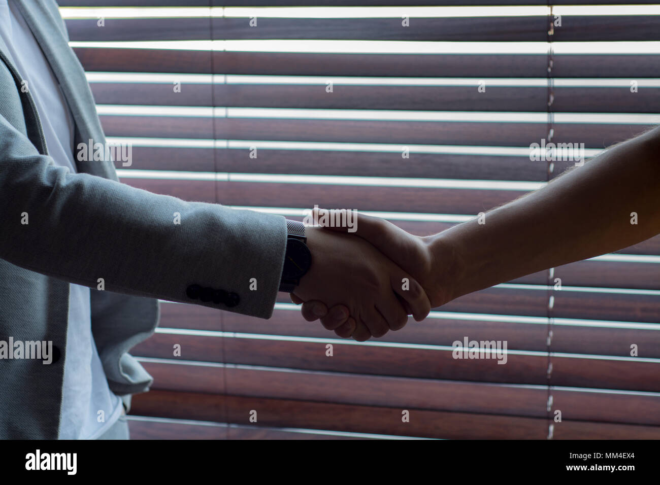 Let's shake on it Stock Photo - Alamy