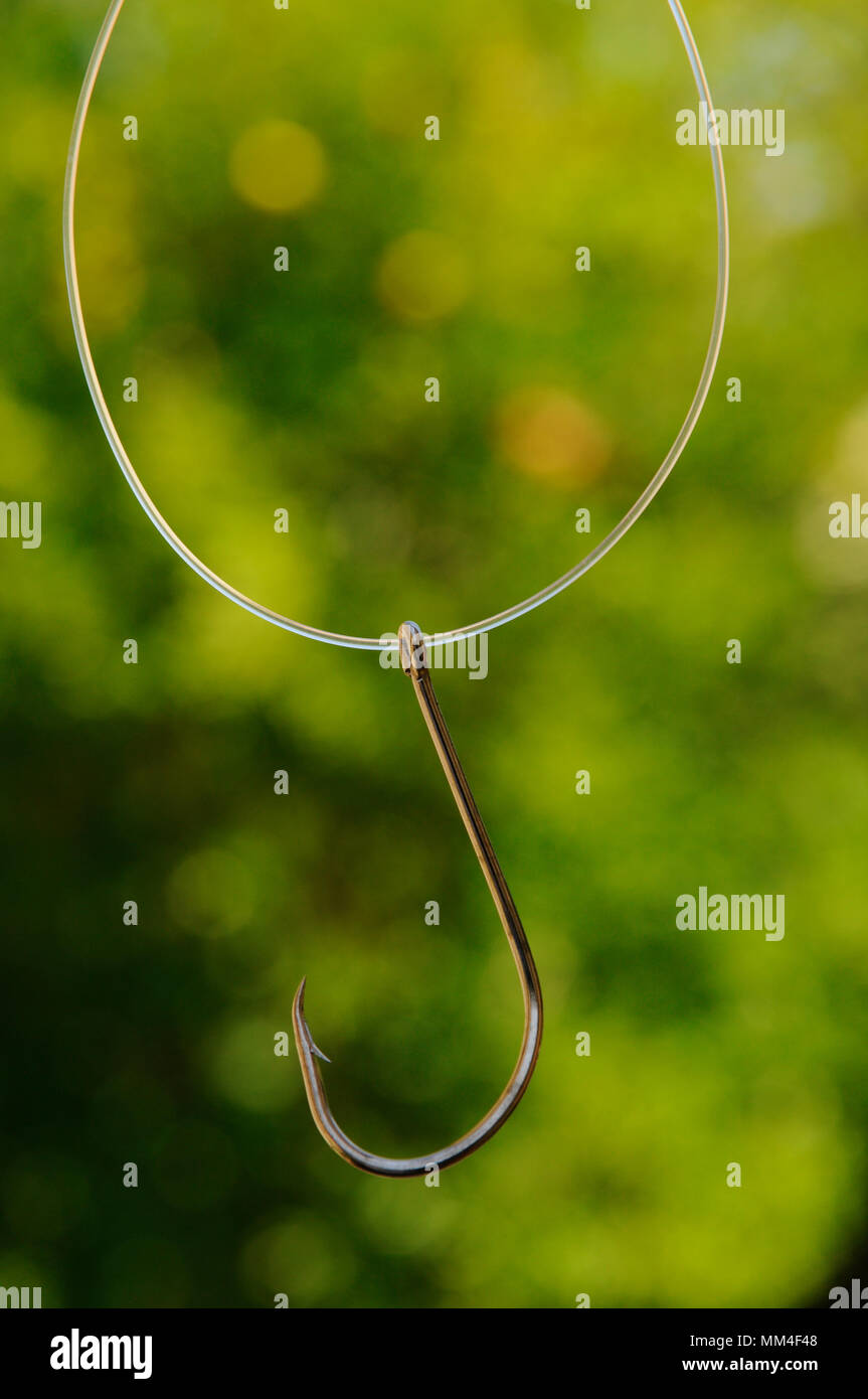 Fishhook fish hi-res stock photography and images - Alamy