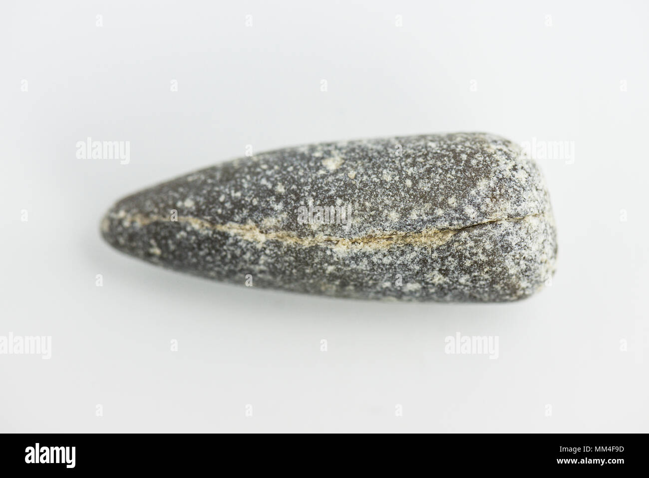 Jurassic belemnite hi-res stock photography and images - Alamy