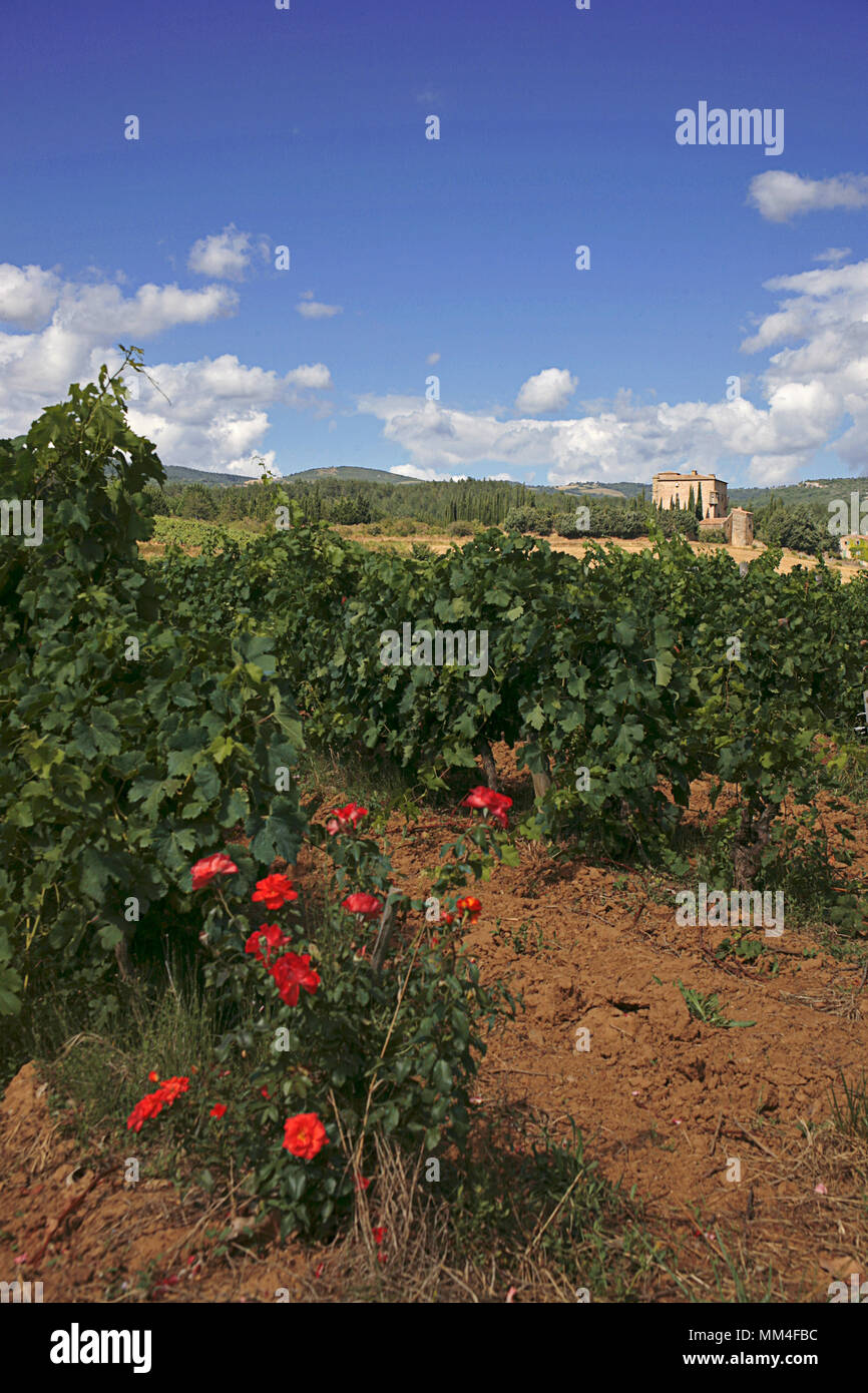 Carignan france hi-res stock photography and images - Alamy