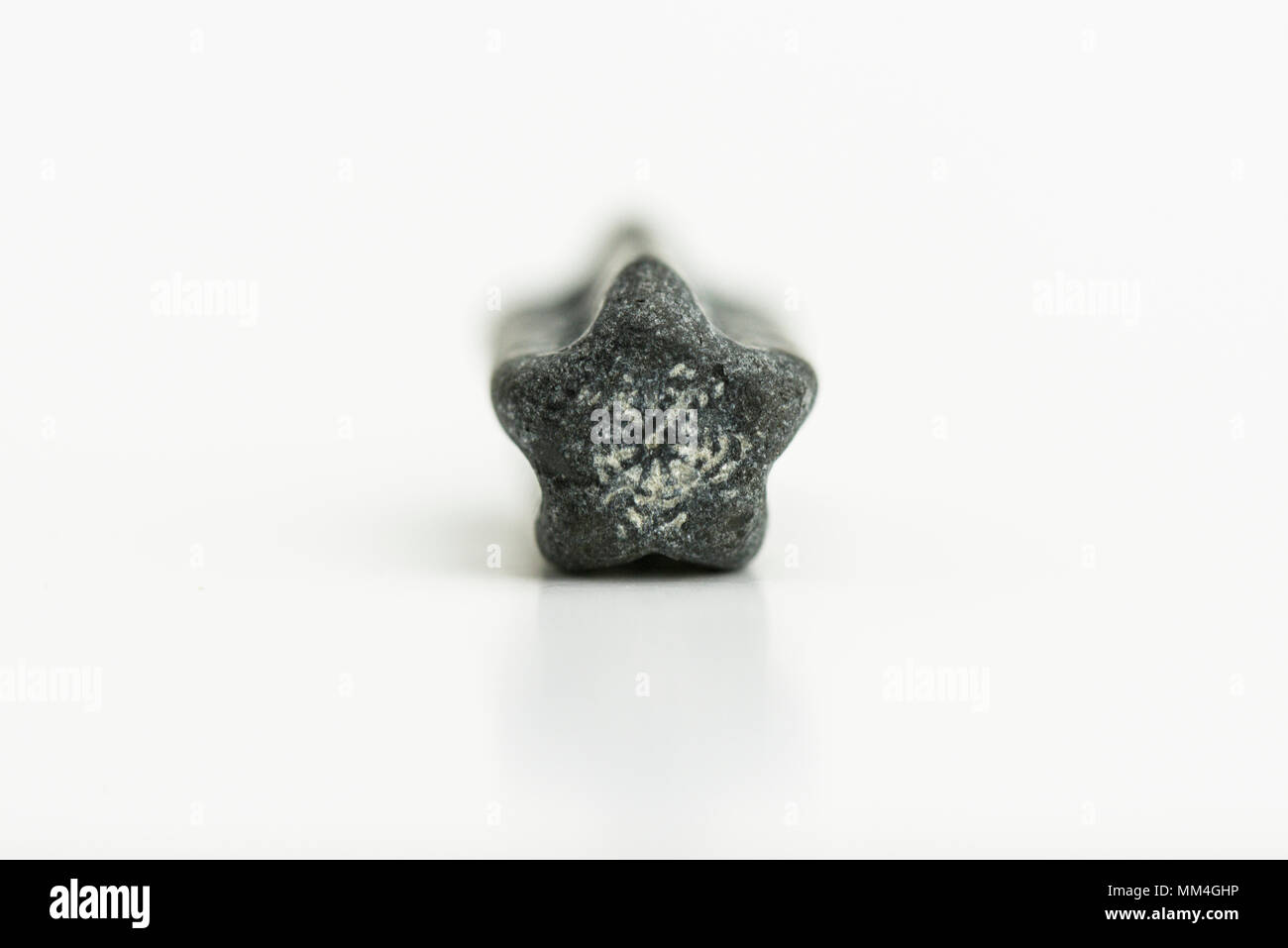 Fossil Crinoid Stock Photos & Fossil Crinoid Stock Images - Alamy