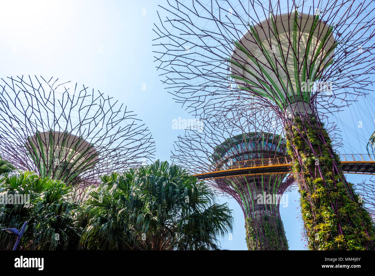 Solar powered supertree hi-res stock photography and images - Alamy