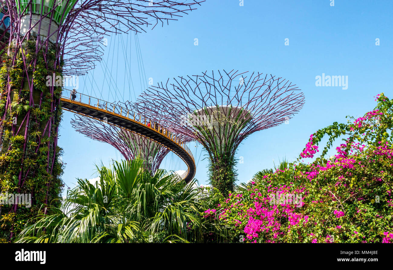 Solar Powered Supertree High Resolution Stock Photography and Images ...