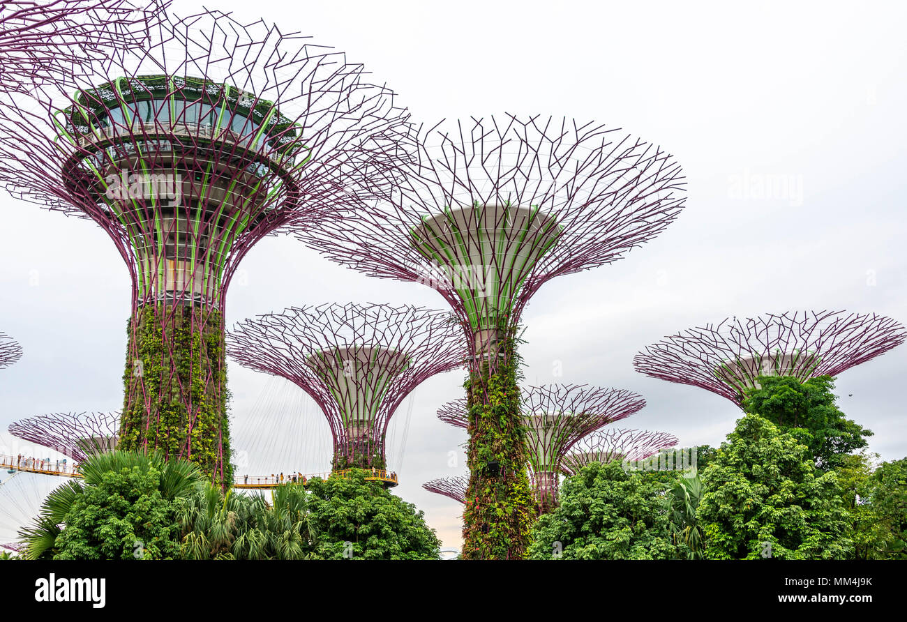 Singapore supertrees Stock Photo - Alamy