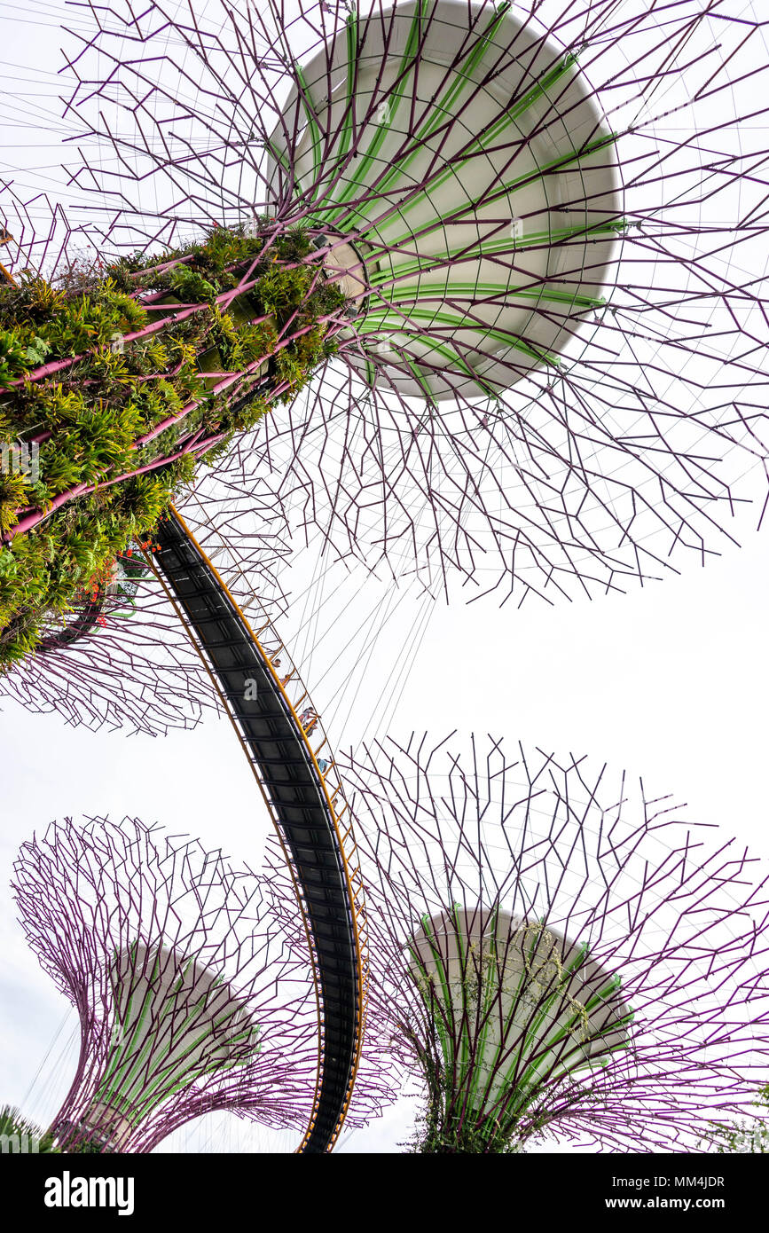 Singapore national parks hi-res stock photography and images - Alamy