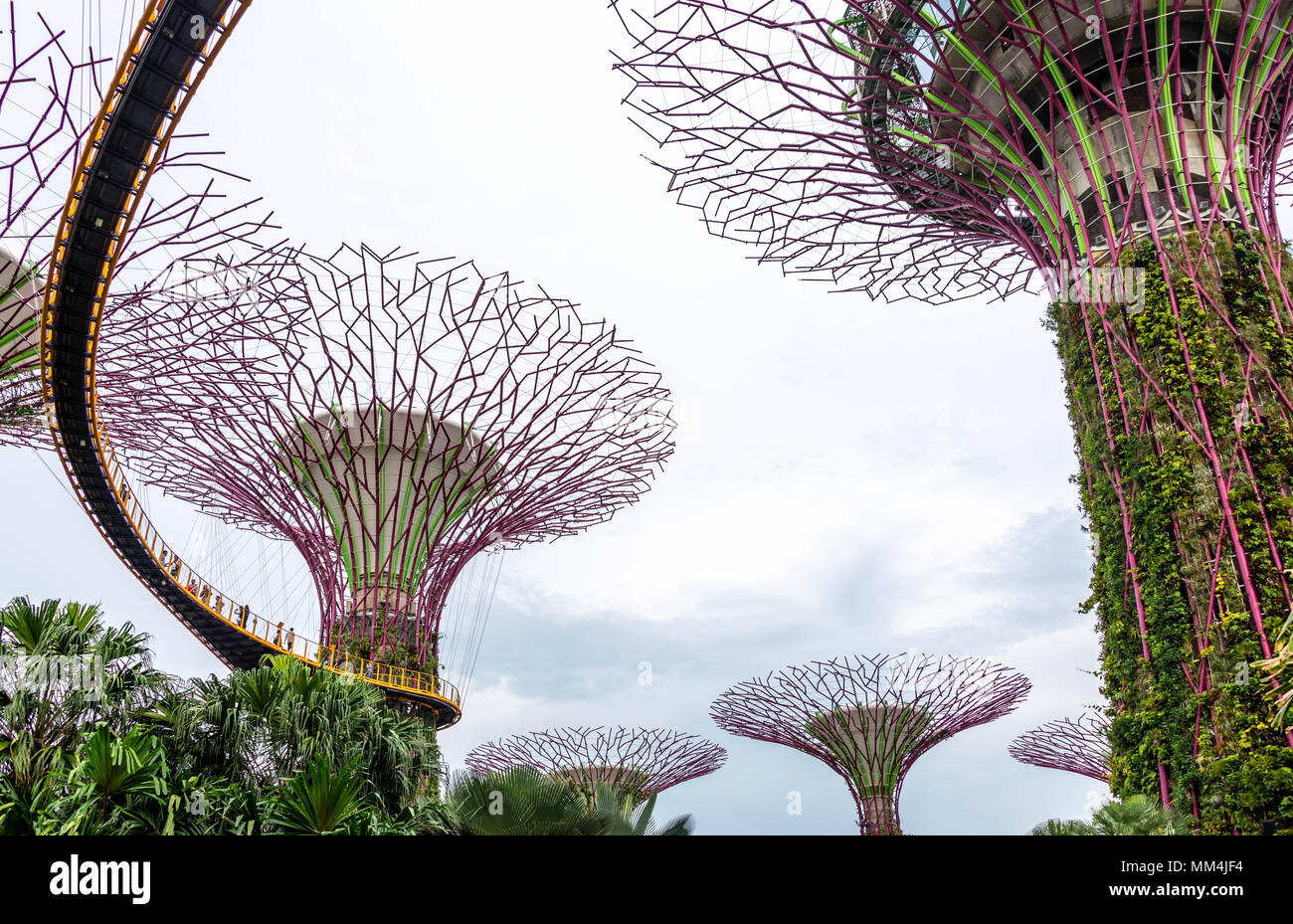 Singapore Supertrees Wiki at Carlo Simmons blog