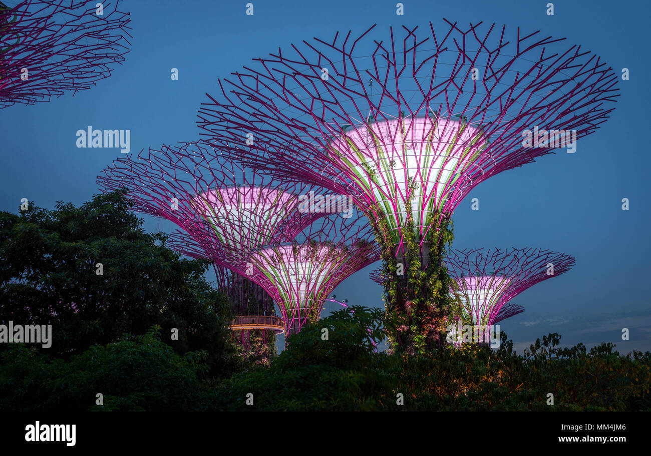 Iconic supertrees hi-res stock photography and images - Alamy