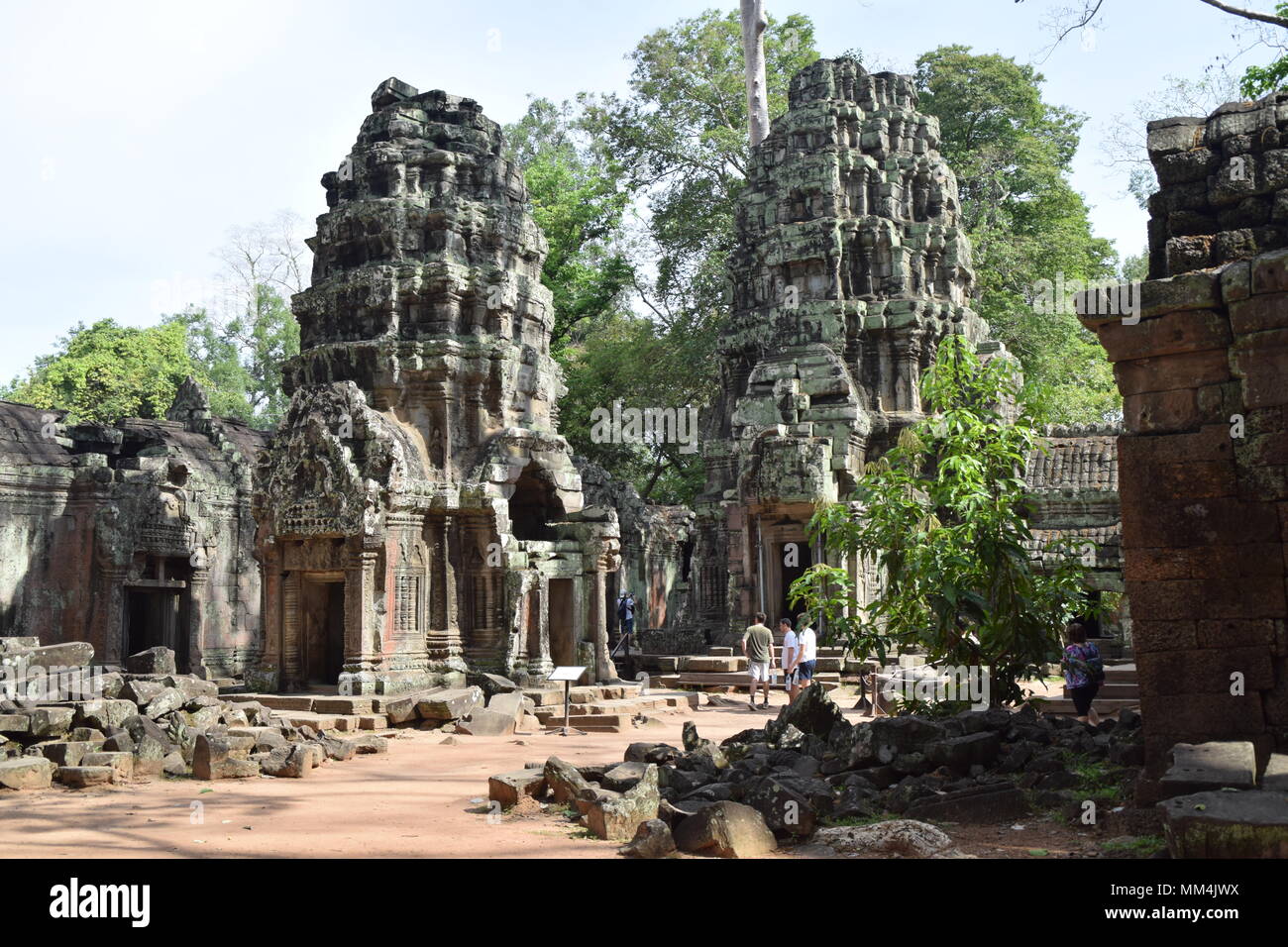 Ruins of the Ta Prom temple in Angkor, Cambodia Stock Photo - Alamy