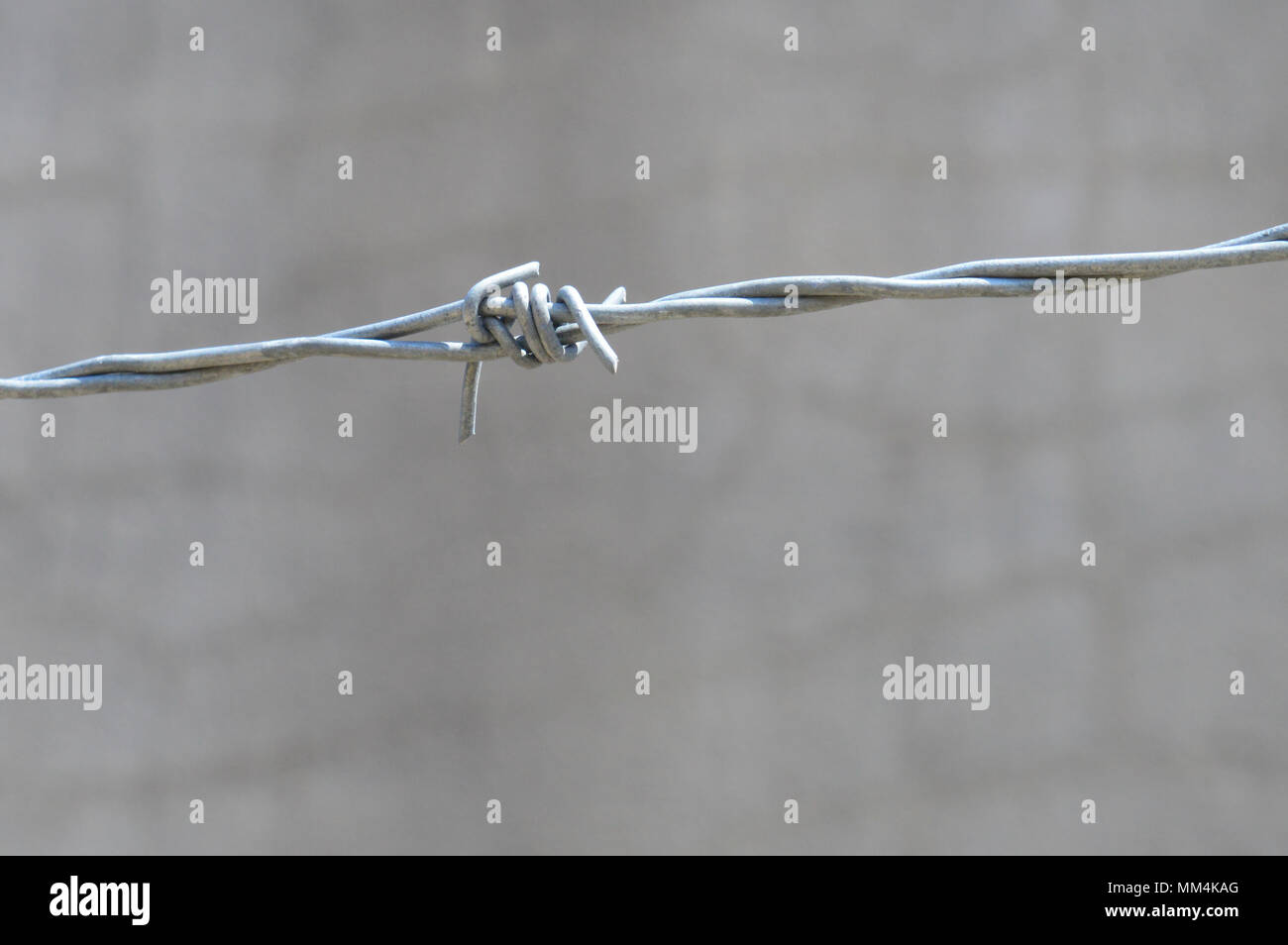 Barbed wire fence Stock Photo - Alamy