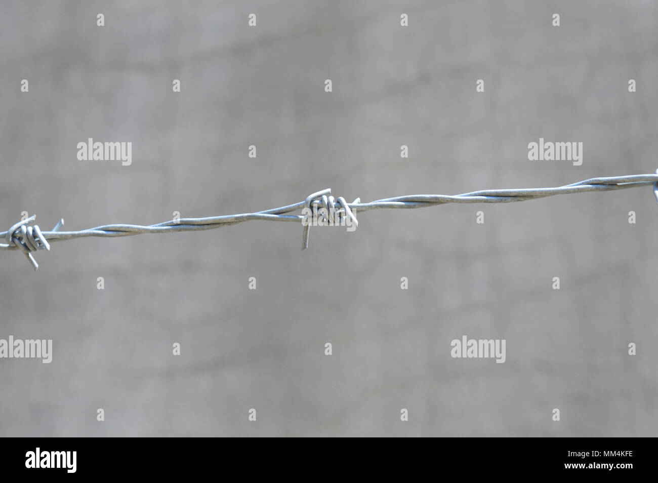 Barbed wire fence Stock Photo - Alamy