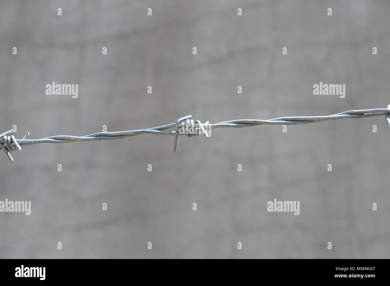 Barbed wire fence Stock Photo - Alamy