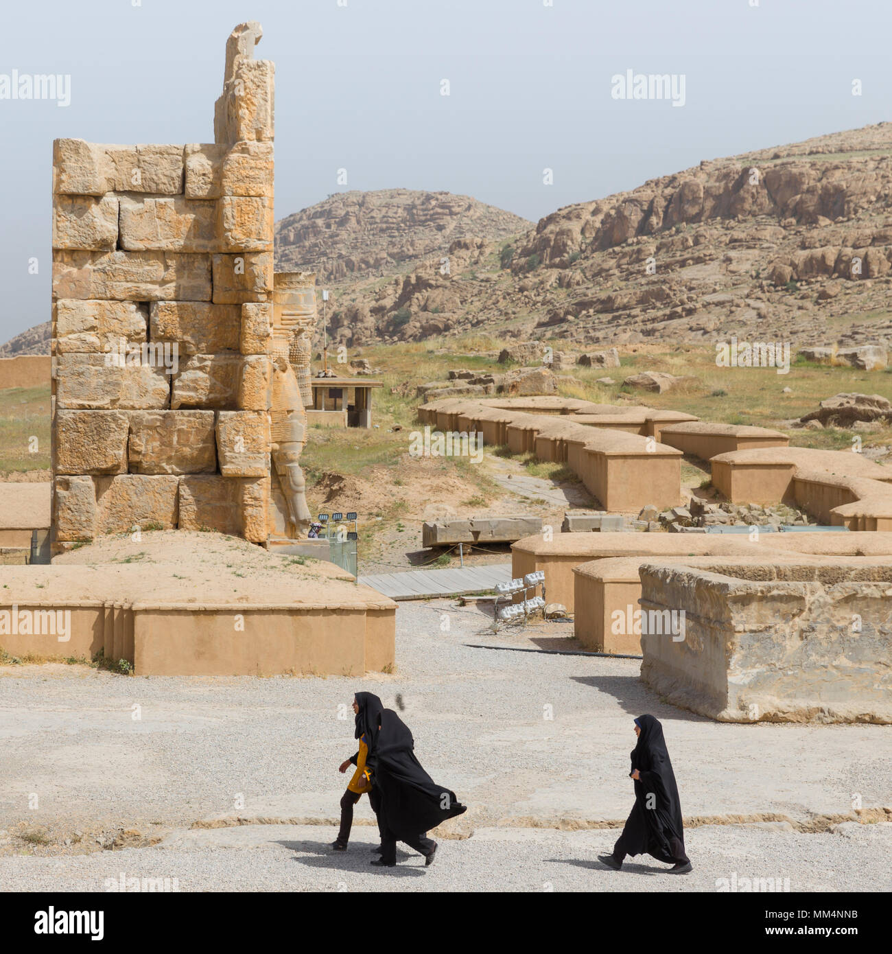 Persepolis in black and white hi-res stock photography and images - Alamy