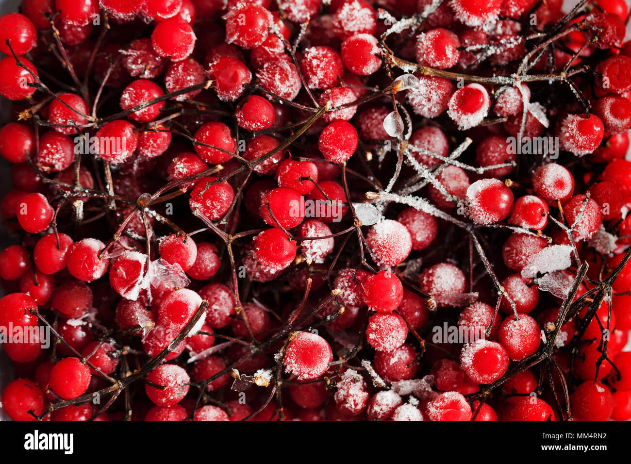 Foxbetty hi-res stock photography and images - Alamy