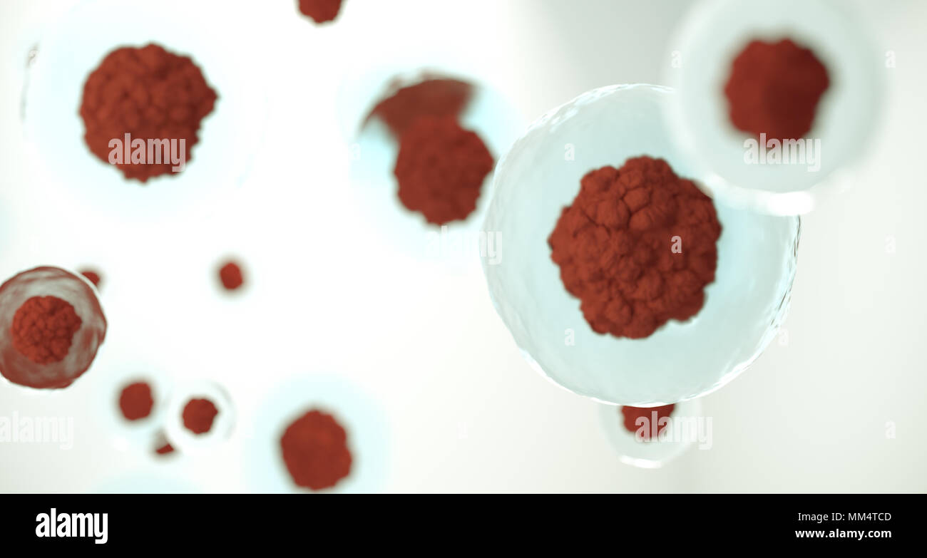 Cancer cells under microscope hi-res stock photography and images - Alamy