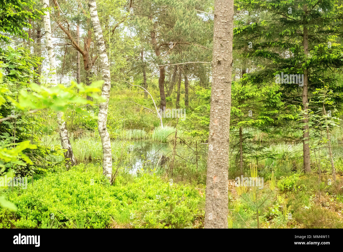 Bad Feilnbach High Resolution Stock Photography and Images - Alamy