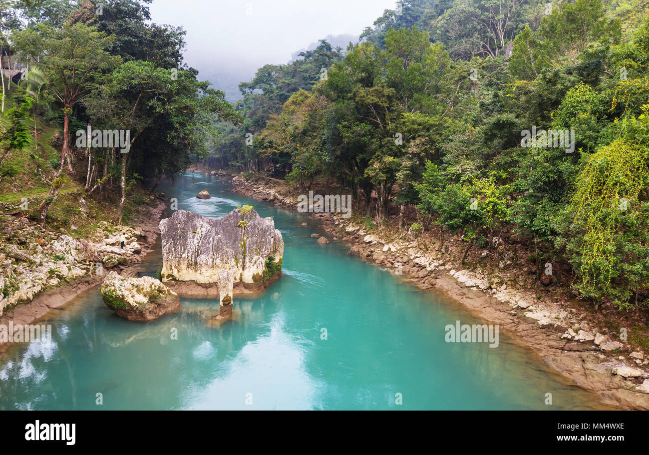 Beautiful stream water flowing down in rain forest. Costa Rica, Central ...