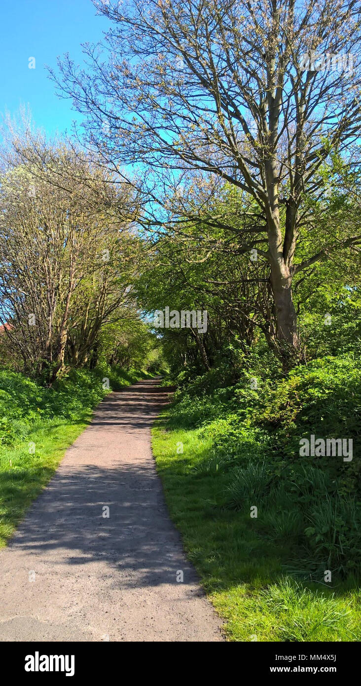 Cinder track cycling hi-res stock photography and images - Alamy