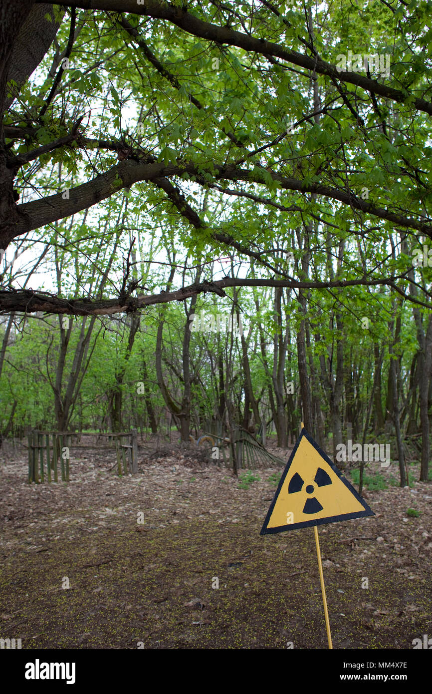 Forest trees, nature overtakes abandoned ruins at Chernobyl 30km ...
