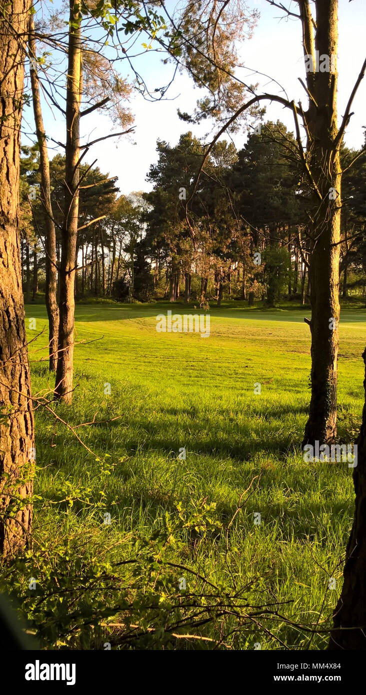 Primavera na inglaterra hi-res stock photography and images - Alamy
