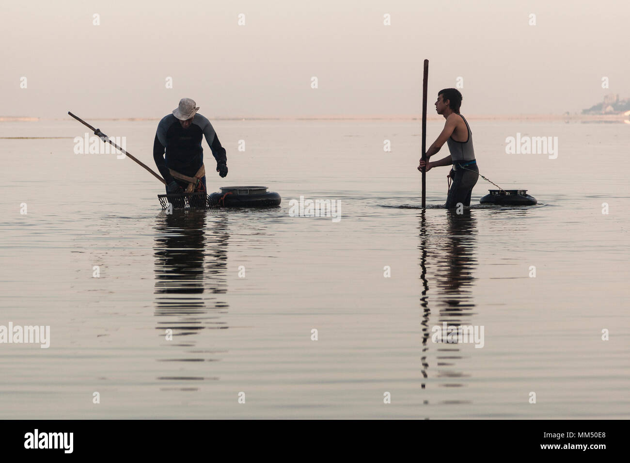 Collecting clams hi-res stock photography and images - Alamy