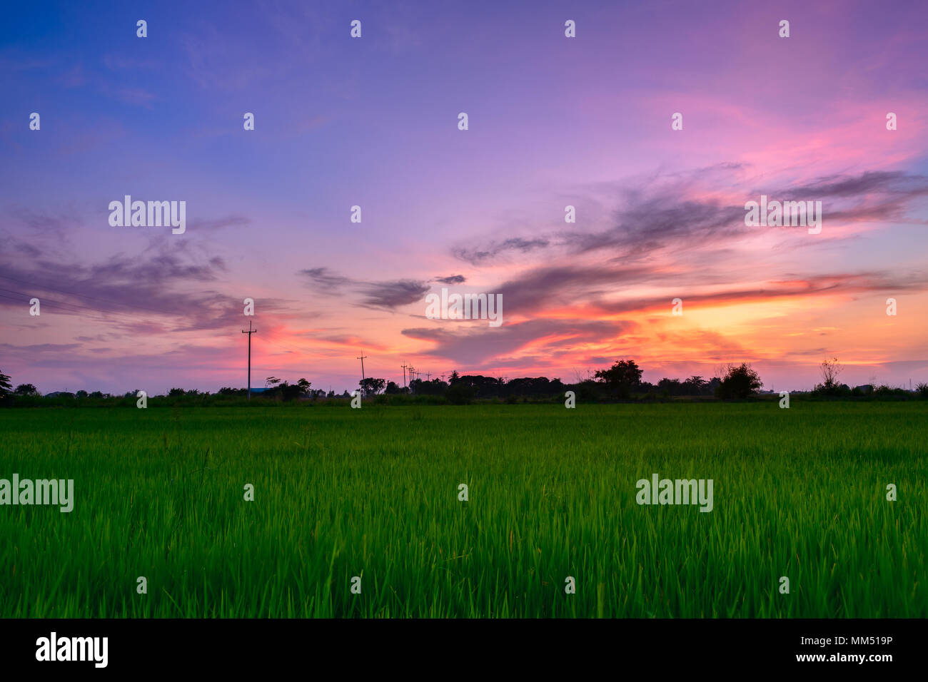 Twilight field hi-res stock photography and images - Alamy