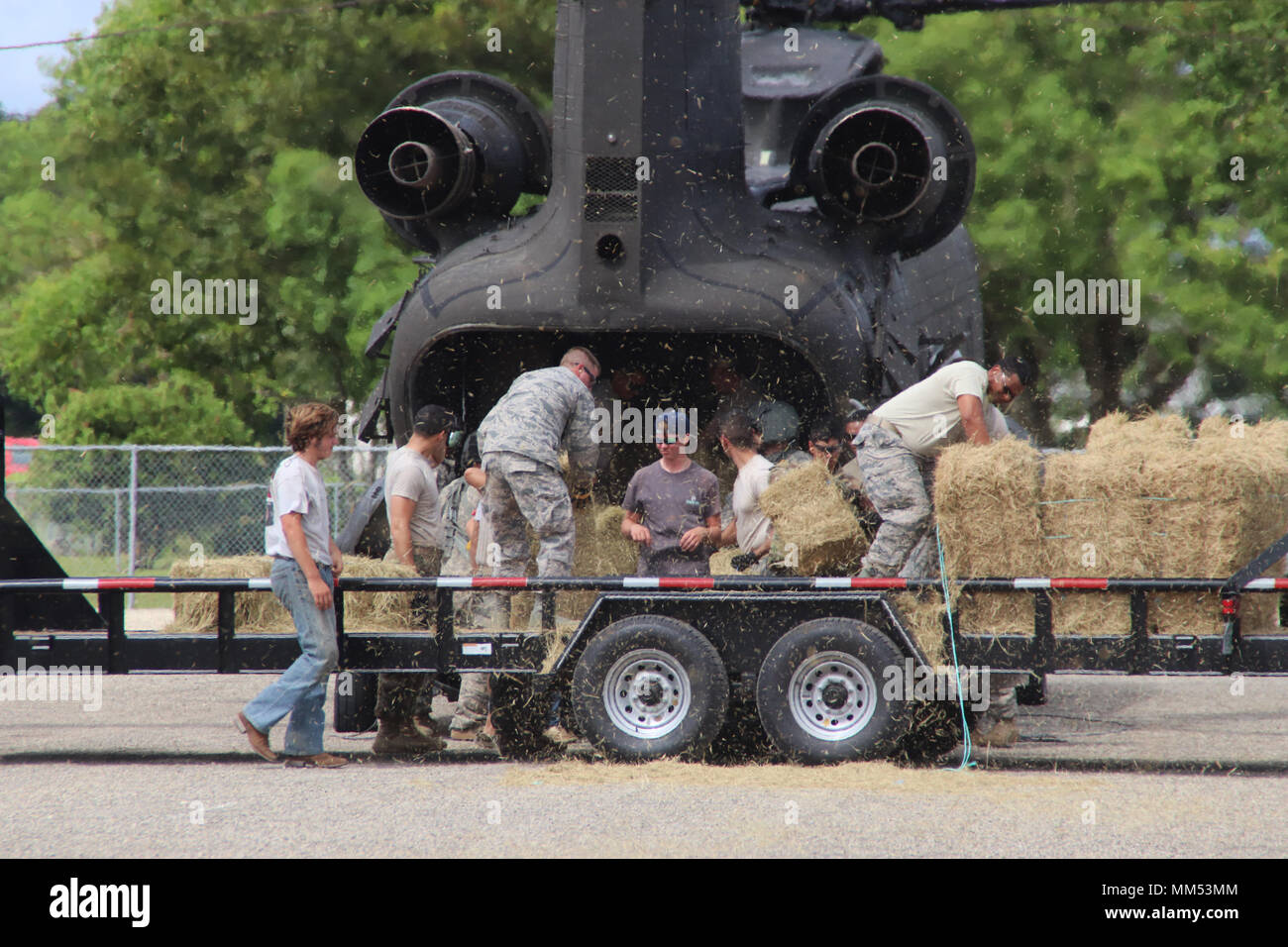 Soldiers and Airmen from the Texas Military Department loading hay ...