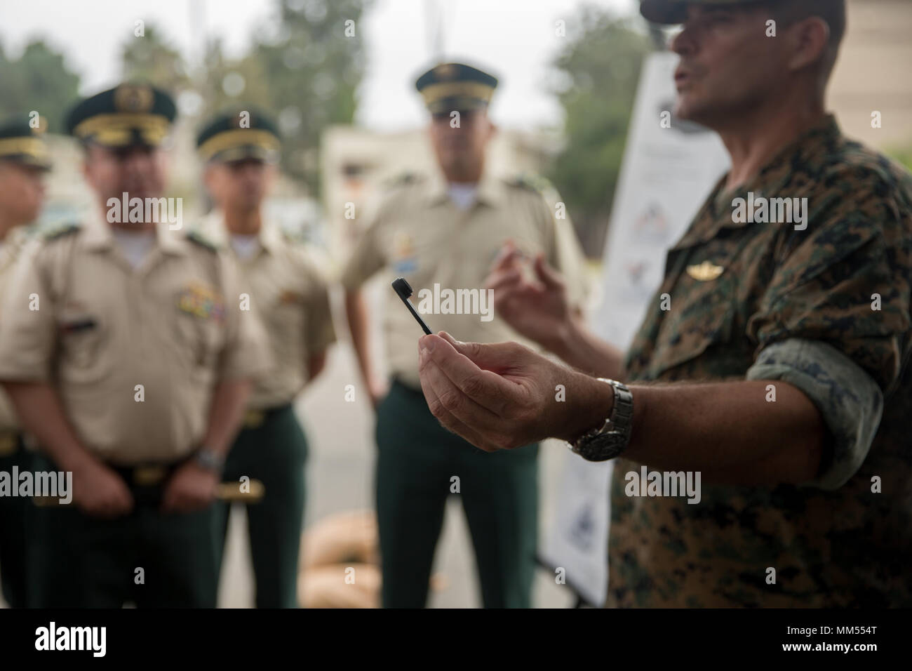 U.S. Marine Corps Col. Jaime Collazo, the commanding officer of Combat ...