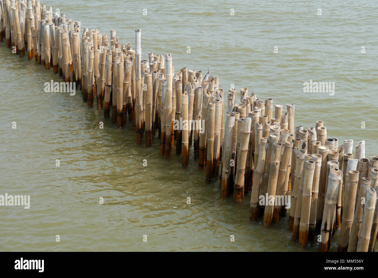 Old bamboo fence protect sandbank from sea wave Stock Photo - Alamy
