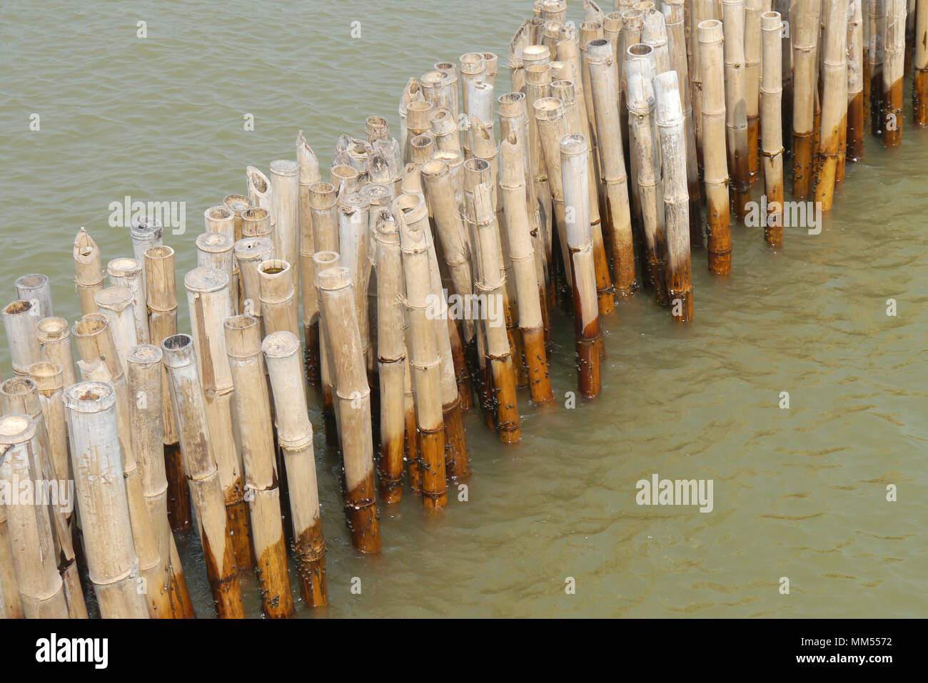 Old bamboo fence protect sandbank from sea wave Stock Photo - Alamy