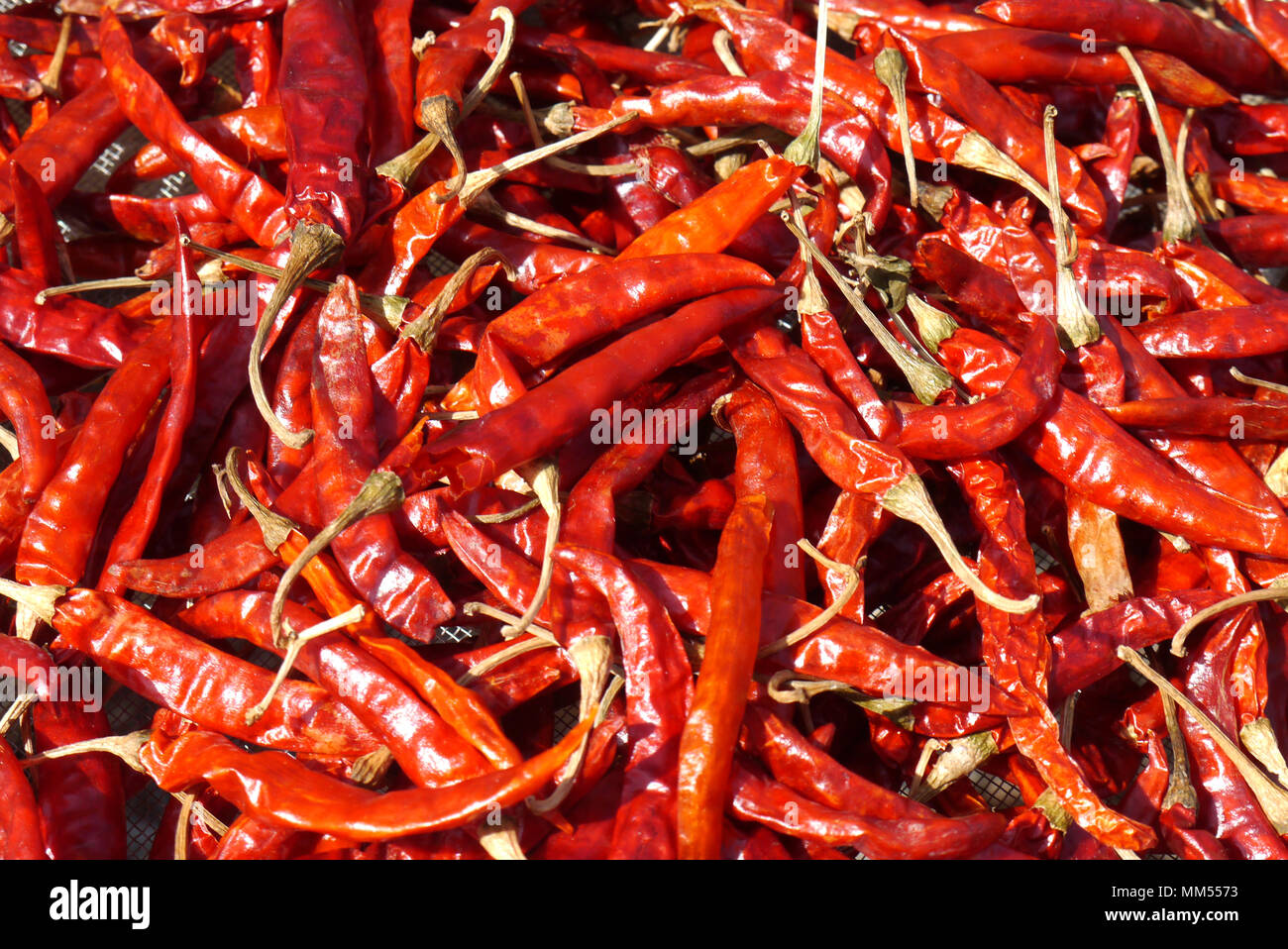 very hot and spicy chilli Stock Photo - Alamy