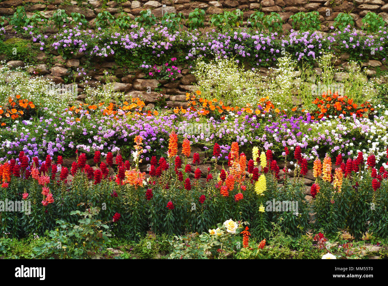 Flower wall background Stock Photo - Alamy