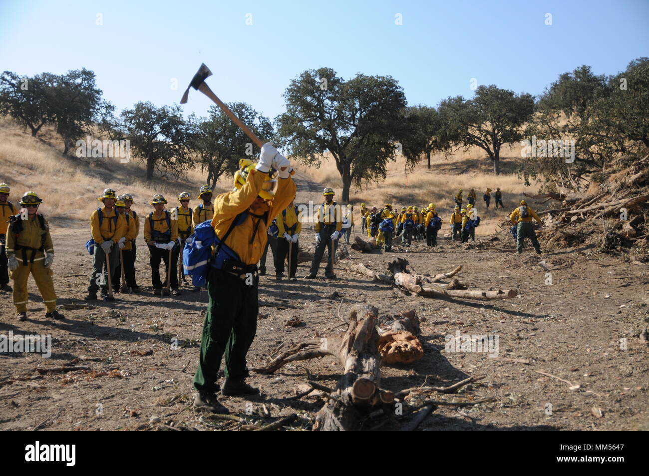 A Cal Guard Soldier chops a log during CAL FIRE hand crew training Sept ...