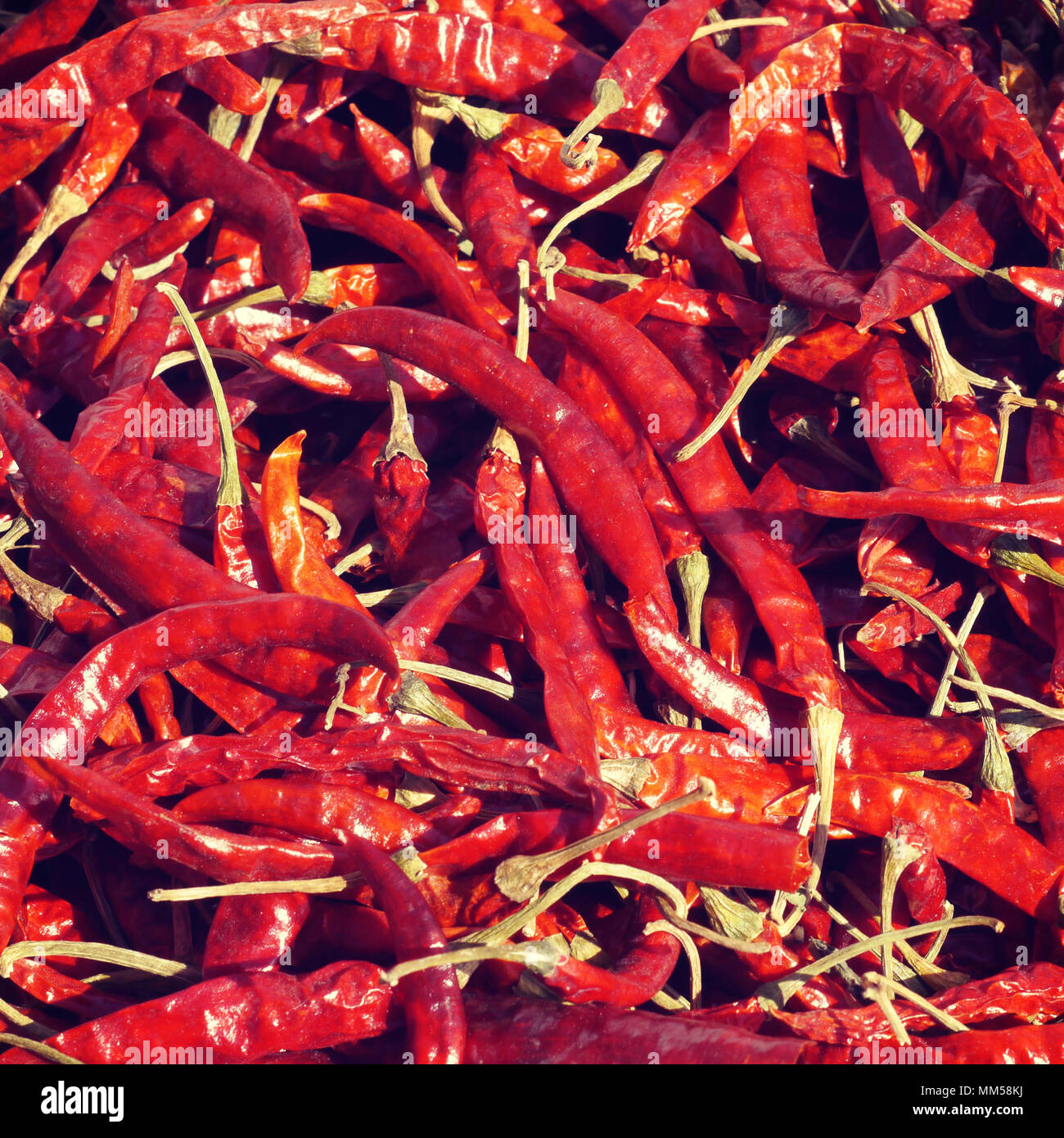 dried Chilli old retro vintage style Stock Photo - Alamy