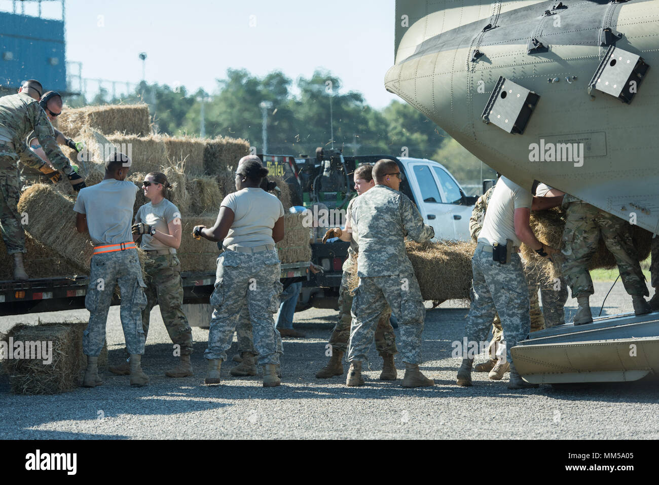238th regiment hi-res stock photography and images - Alamy