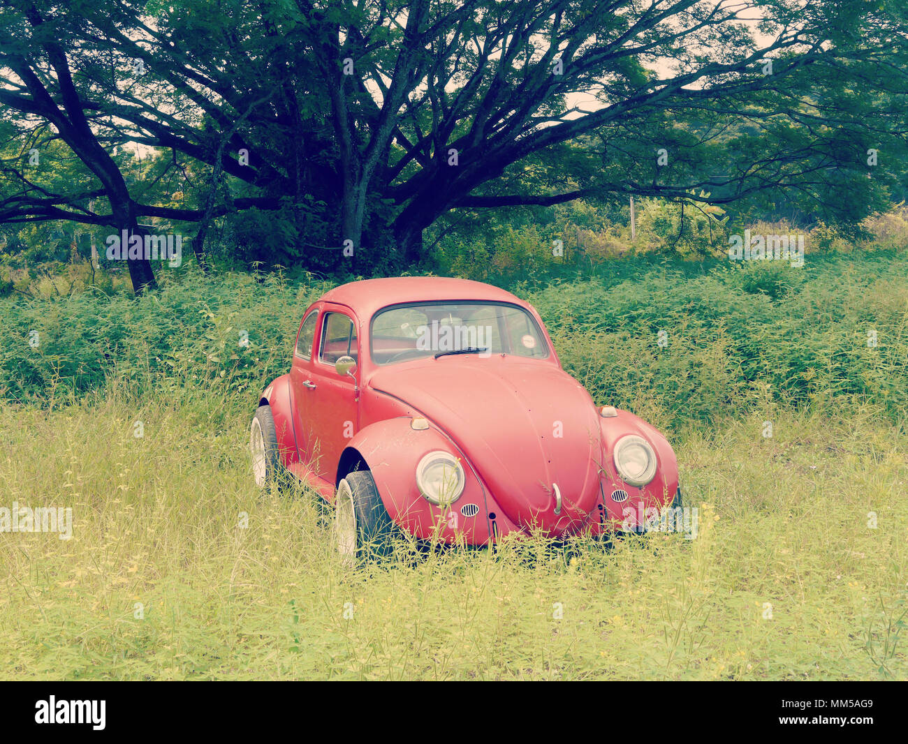 Old Red Car with retro filter effect Stock Photo - Alamy