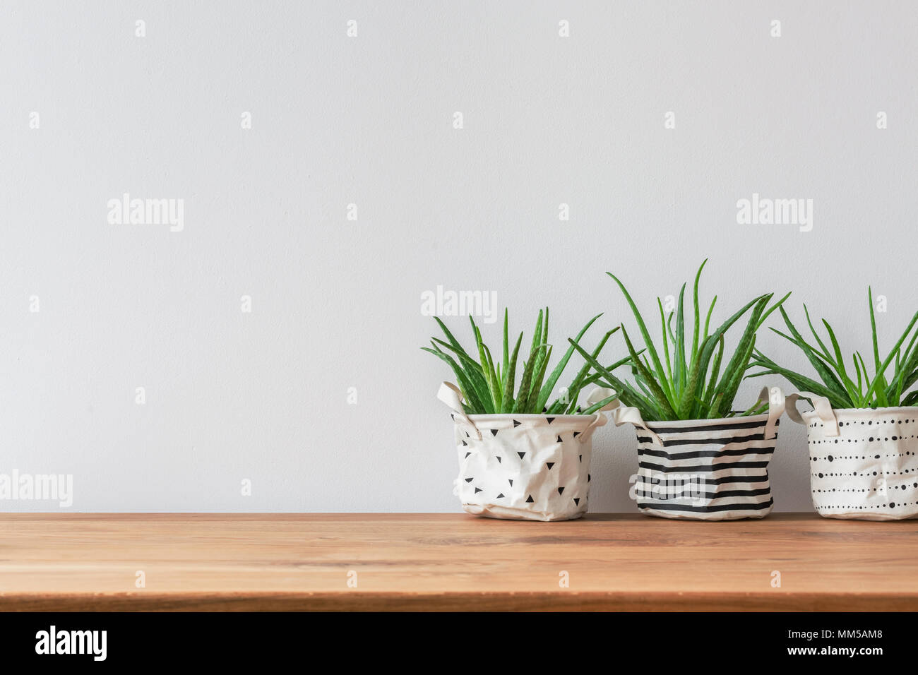 Three plants in fabric pot covers standing against white, empty wall ...
