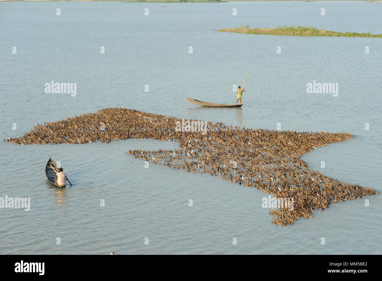 Birulia dhaka hi-res stock photography and images - Alamy