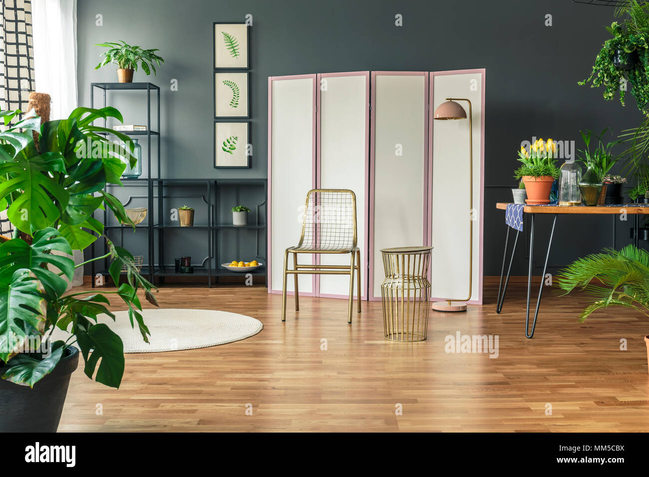 Stylish botanic room interior with wooden floor and grey walls Stock ...