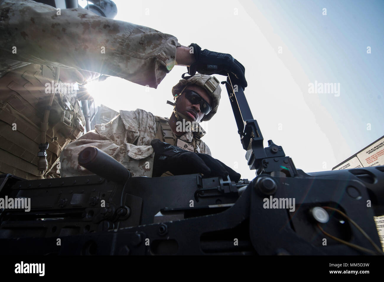 M2 alligator hi-res stock photography and images - Alamy