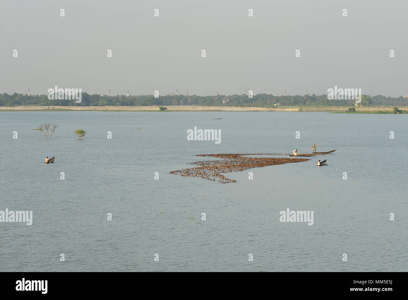 Birulia hi-res stock photography and images - Alamy