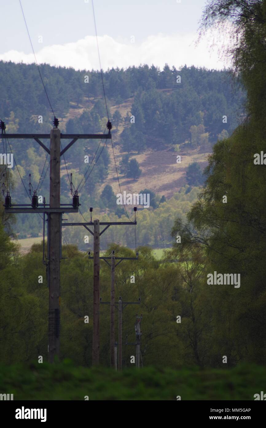 National Grid Wooden Electricity Pylons, Telegraph Poles. Muir of ...