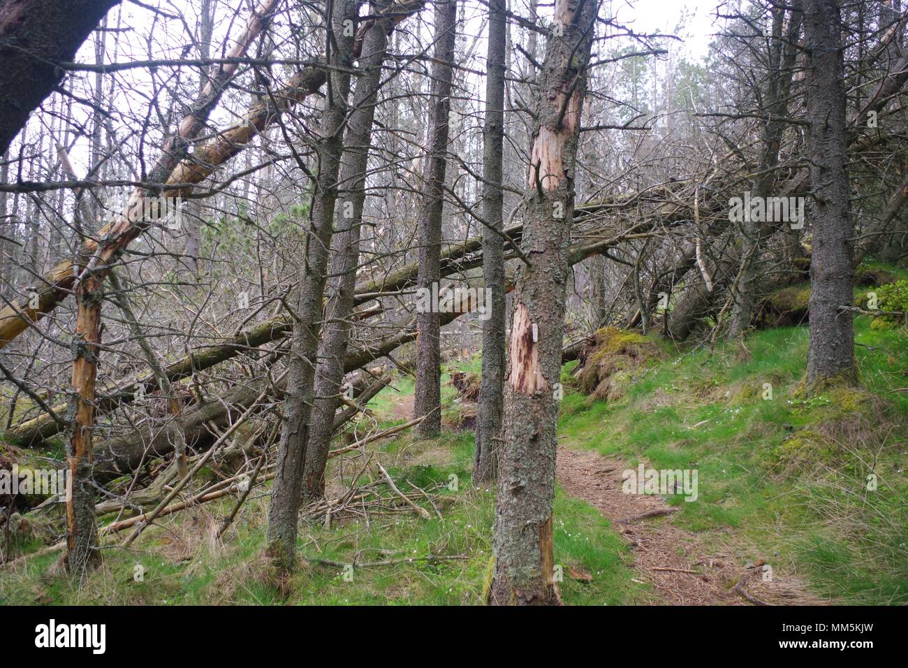 Scolty hill hi-res stock photography and images - Alamy